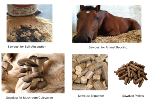 Sawdust in India - Availability, Supply Chain, Prices, Surplus - BioBiz