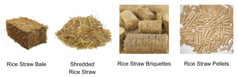 Rice Straw in India - Availability, Supply Chain, Prices, Surplus - BioBiz
