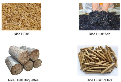 Rice Husk in India - Availability, Supply Chain, Prices, Surplus - BioBiz